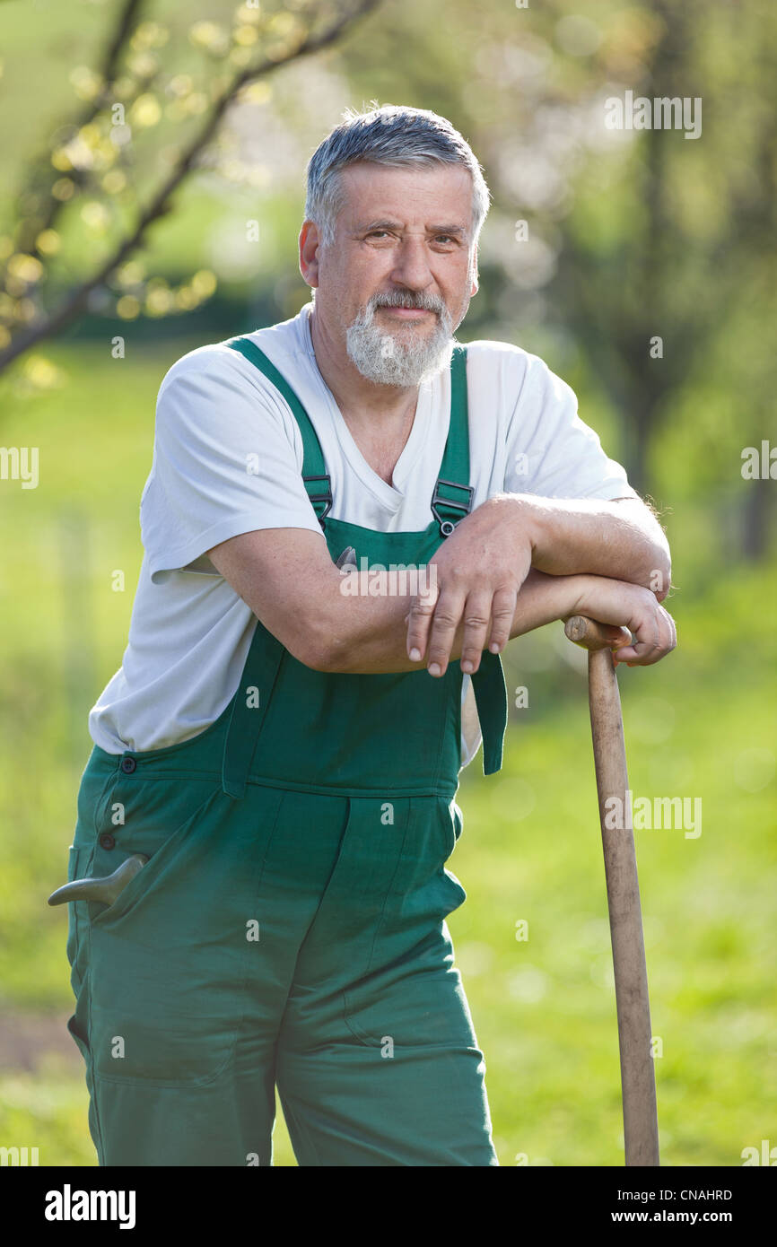 portrait of a senior man gardening in his garden (color toned image ...