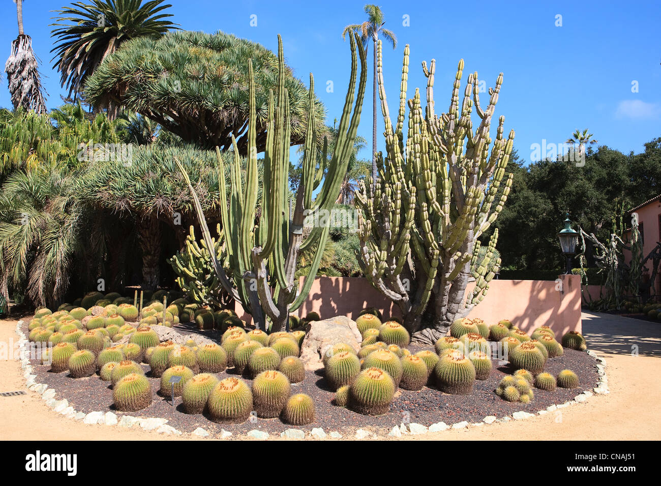 Lotusland High Resolution Stock Photography and Images - Alamy