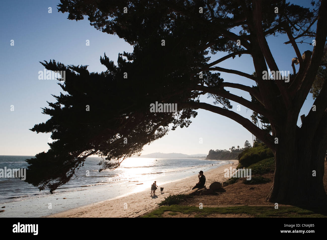 Butterfly beach hi-res stock photography and images - Alamy