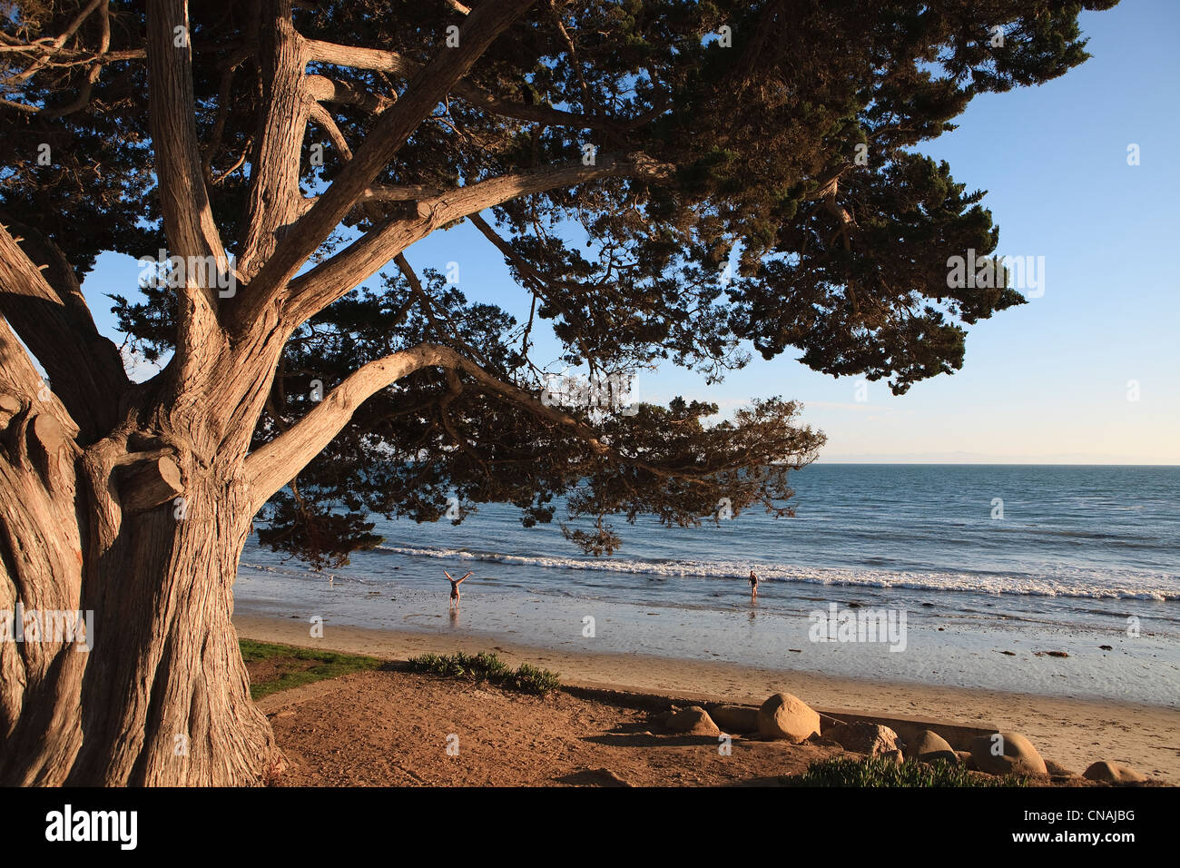United States, California, Santa Barbara, Montecito, Butterfly beach ...