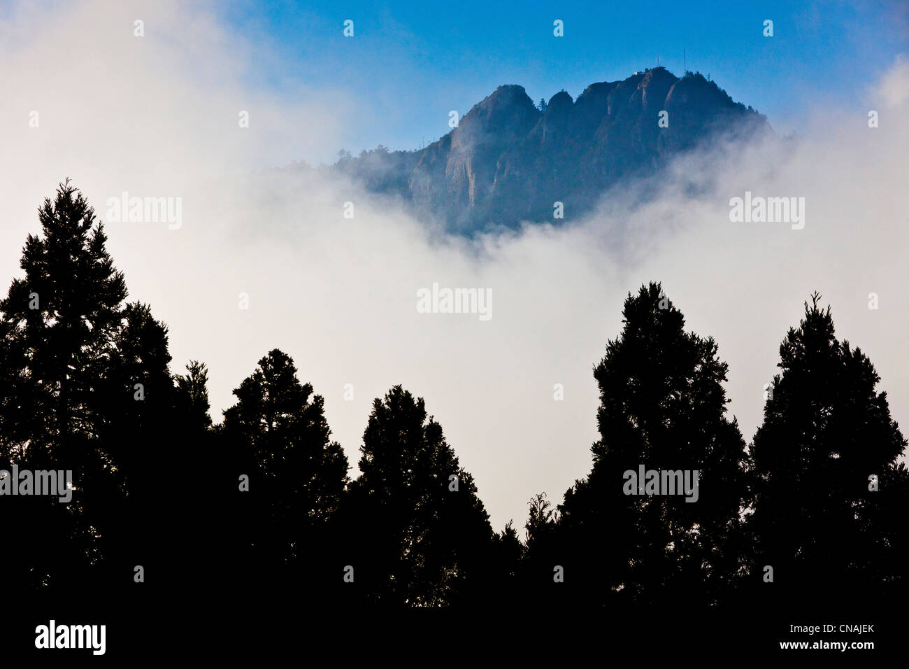 Clouds surrounding the peak of Mount Ali or Alishan Taiwan. JMH5922 ...