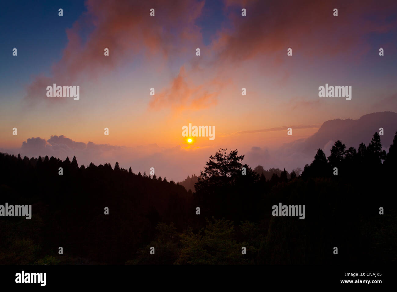 Sunset behind trees at Alishan Taiwan. JMH5925 Stock Photo - Alamy