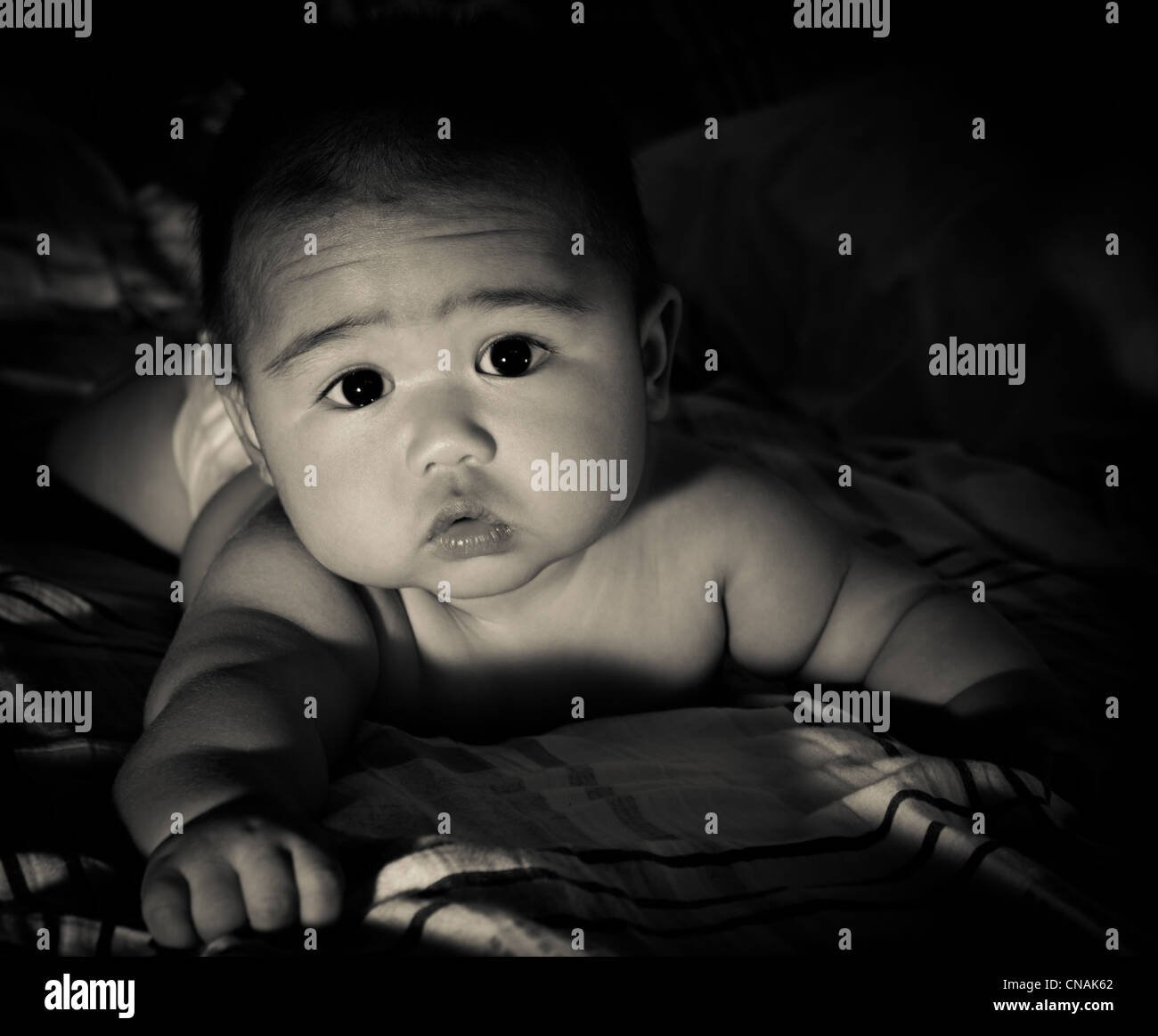 Innocent baby boy Stock Photo - Alamy