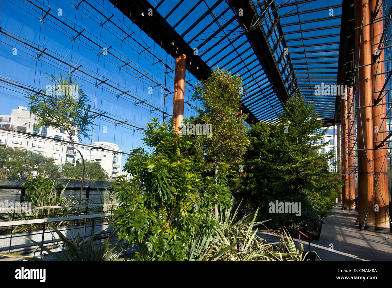 France, Paris, Andre Citroen park, the greenhouse of the Mediterranean ...