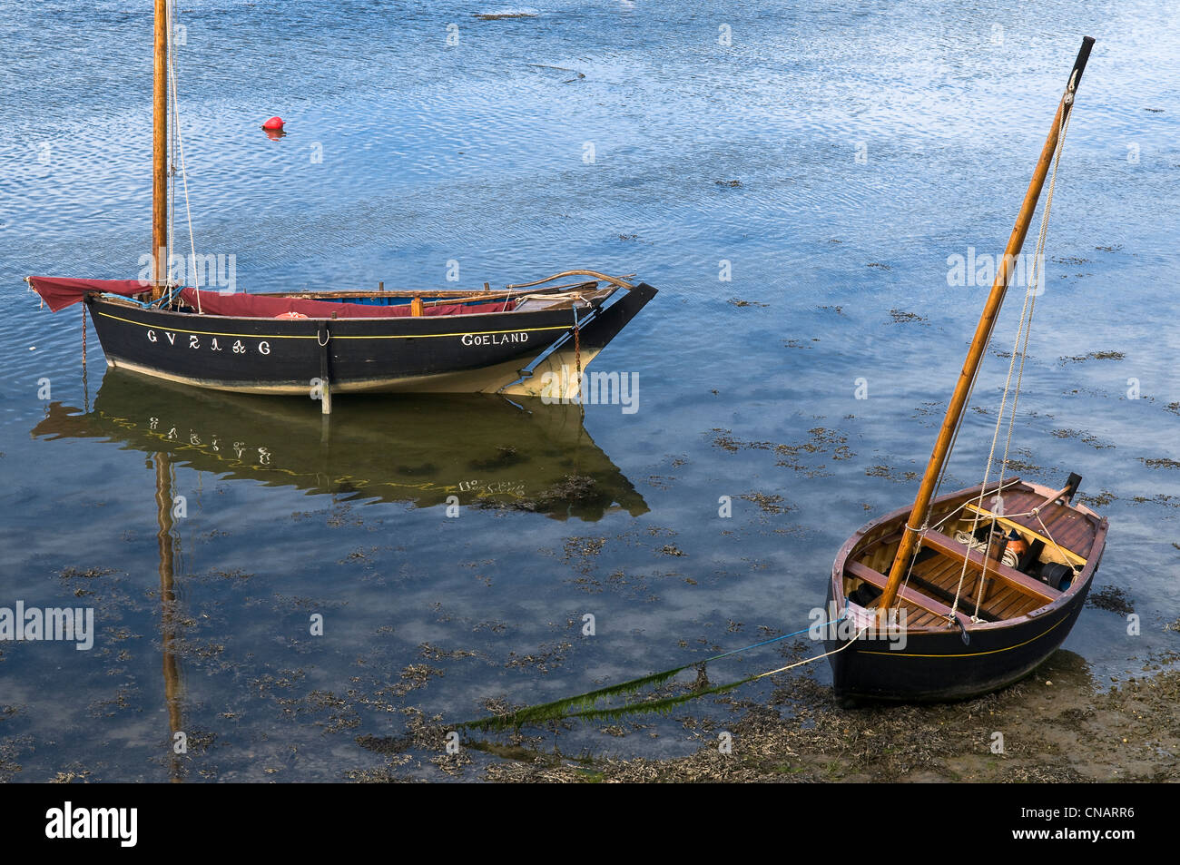 France, Finistere, Iroise Sea, Parc Naturel Regional d'Armorique ...