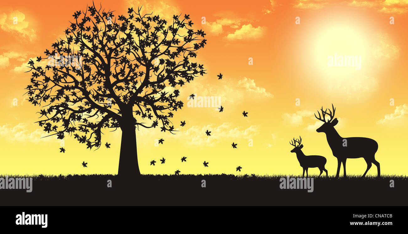 One of four seasons - autumn, fall Stock Photo - Alamy