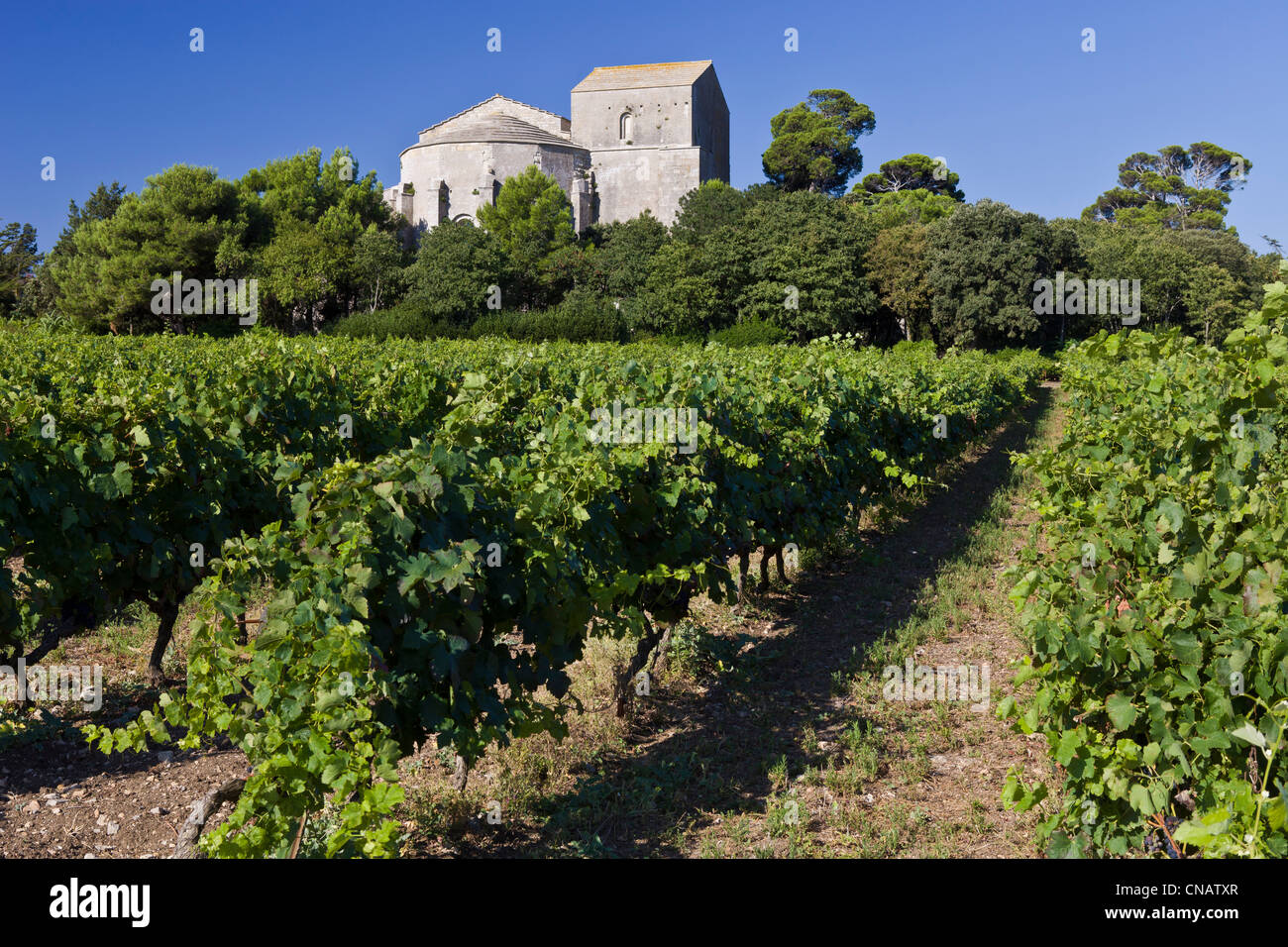 Maguelone church hi-res stock photography and images - Alamy