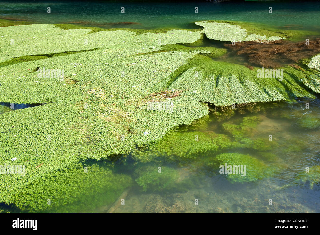 France, Var, between the villages of Correns and Chateauvert gorges ...