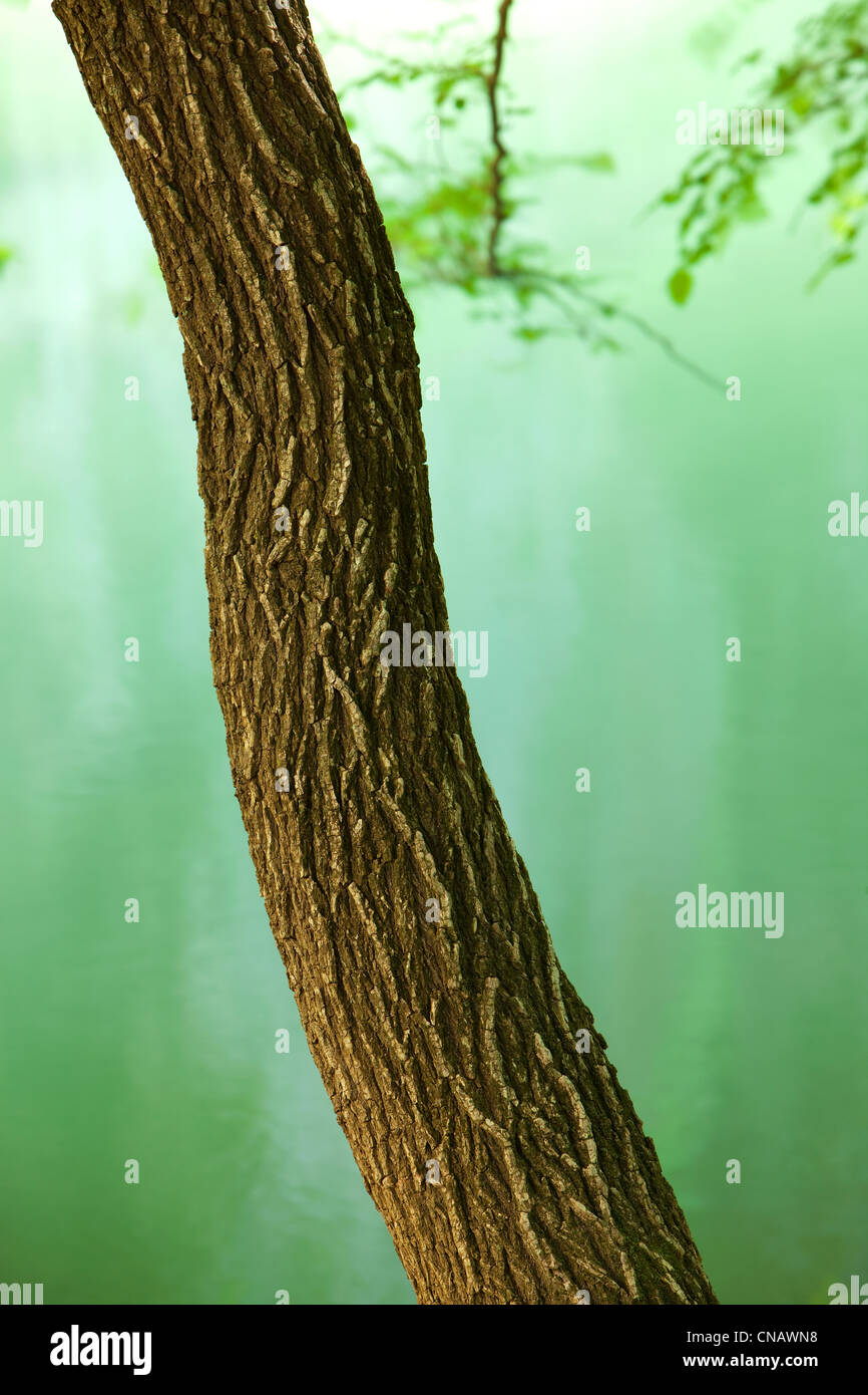 France, Var, between the villages of Correns and Chateauvert gorges ...