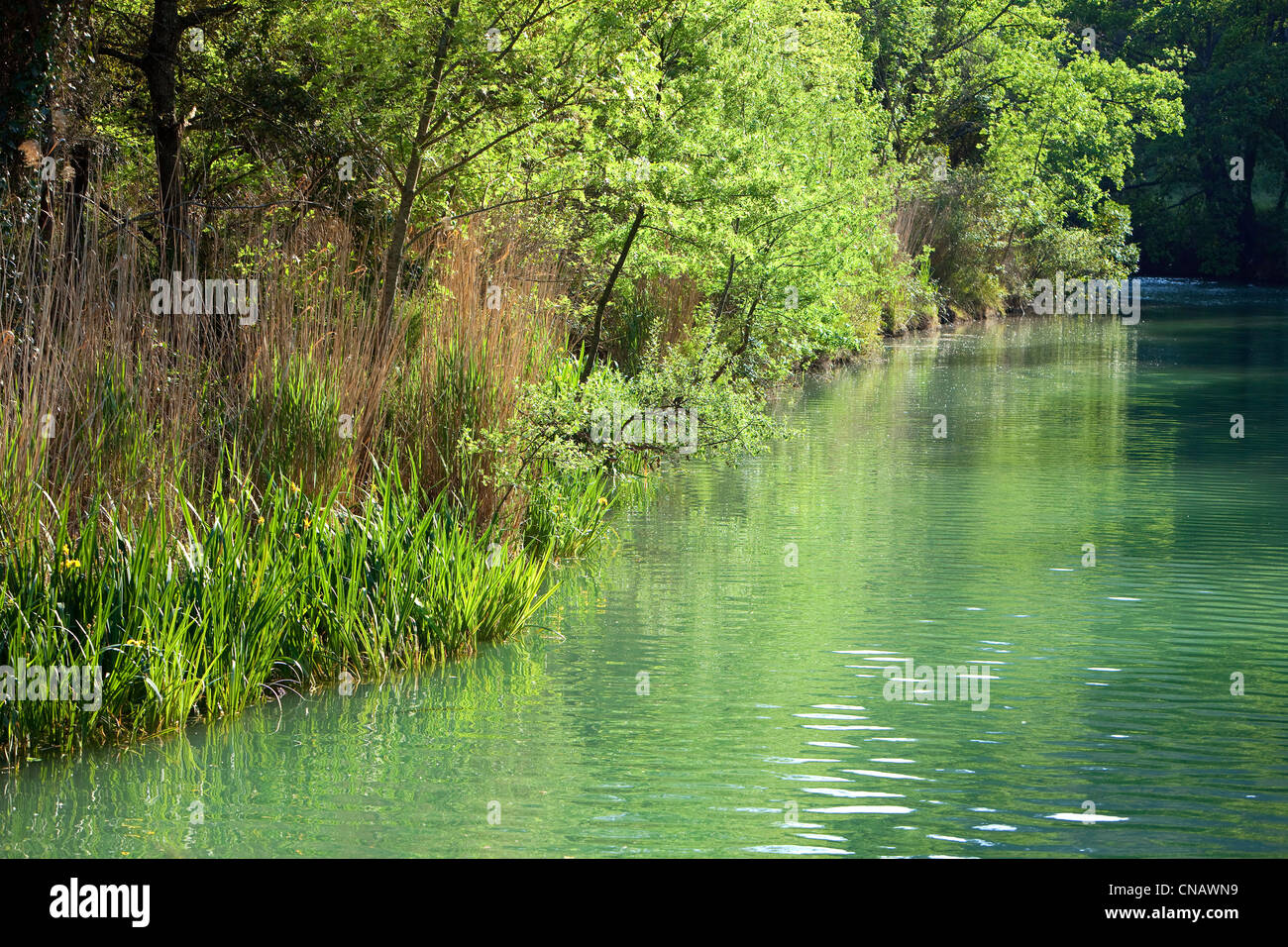 France, Var, between the villages of Correns and Chateauvert gorges ...