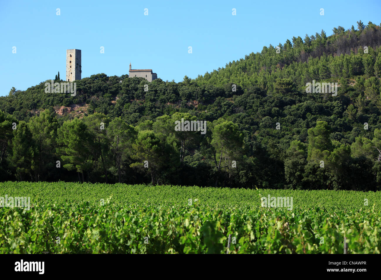 France var taradeau aoc cotes hi-res stock photography and images - Alamy