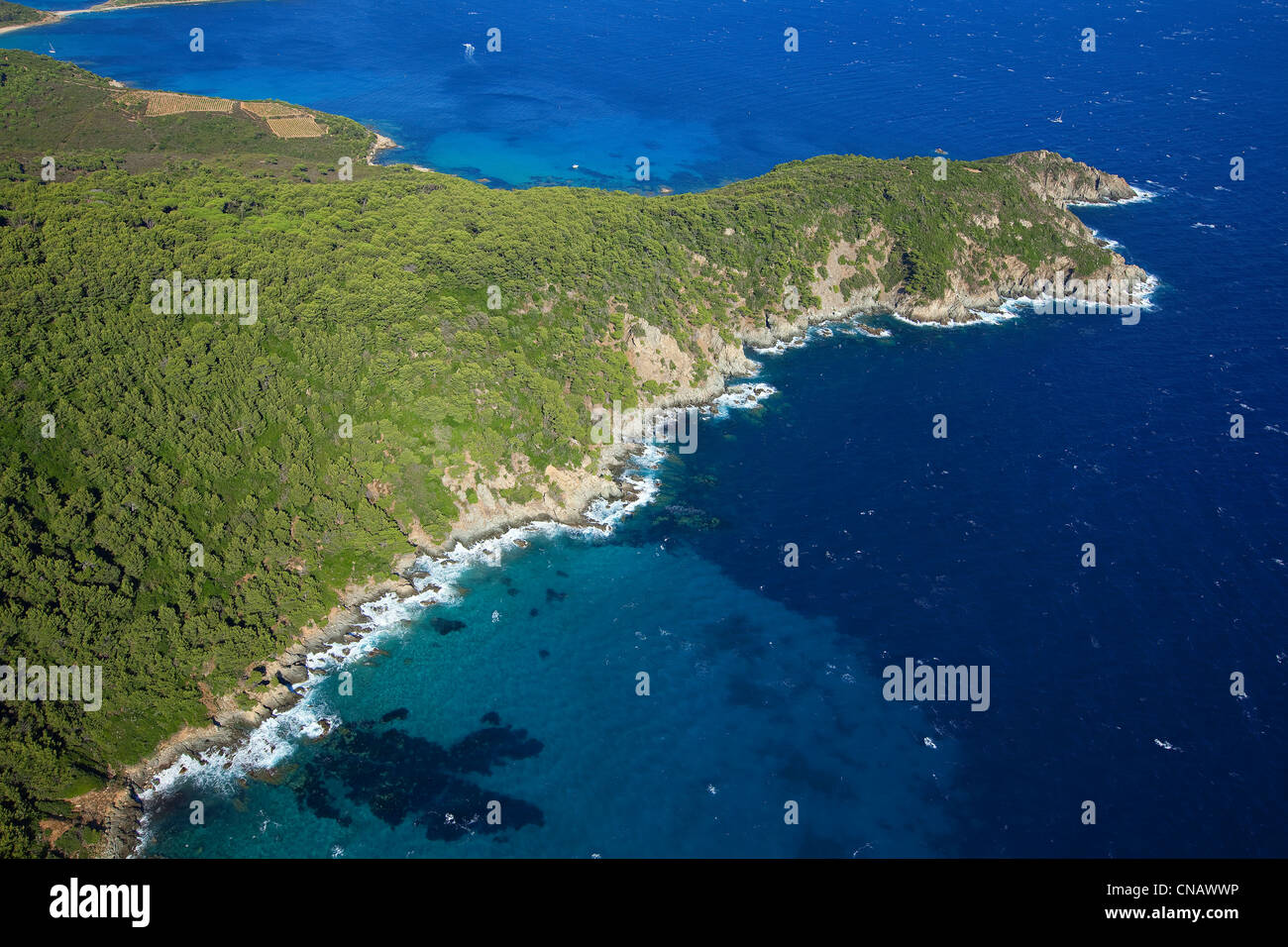 France, Var, La Croix Valmer, Cap Lardier, coastal protection (aerial ...