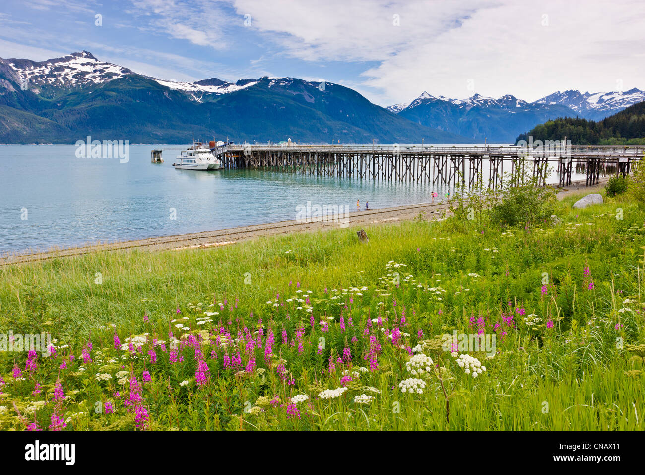 Tour boat moored at a dock at Portage Cove beach with Mount Villard in ...
