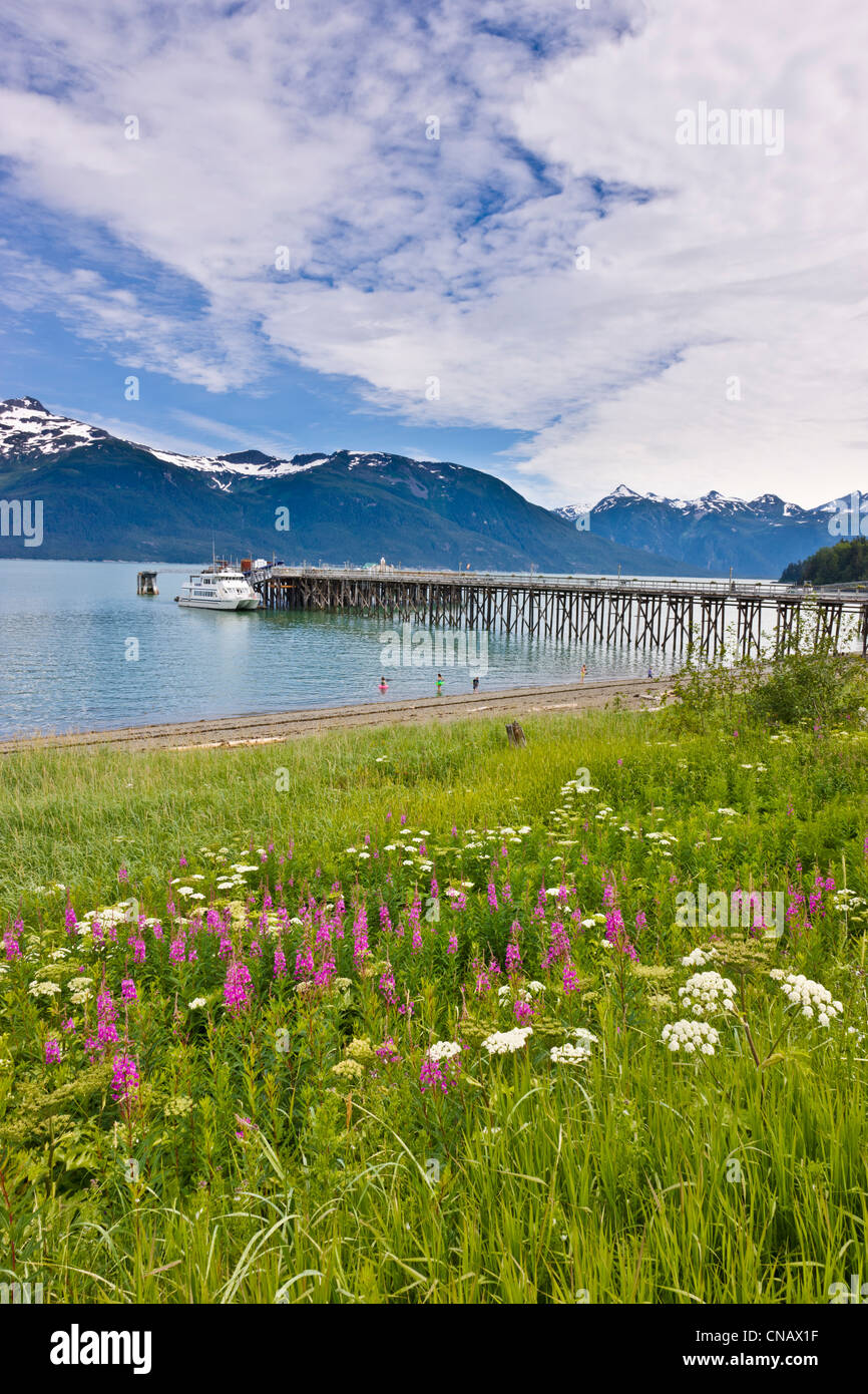 Tour boat moored at a dock at Portage Cove beach with Mount Villard in ...