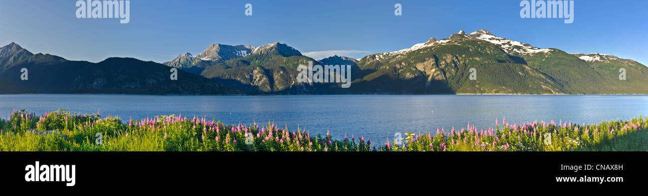 Alaska panorama hi-res stock photography and images - Alamy