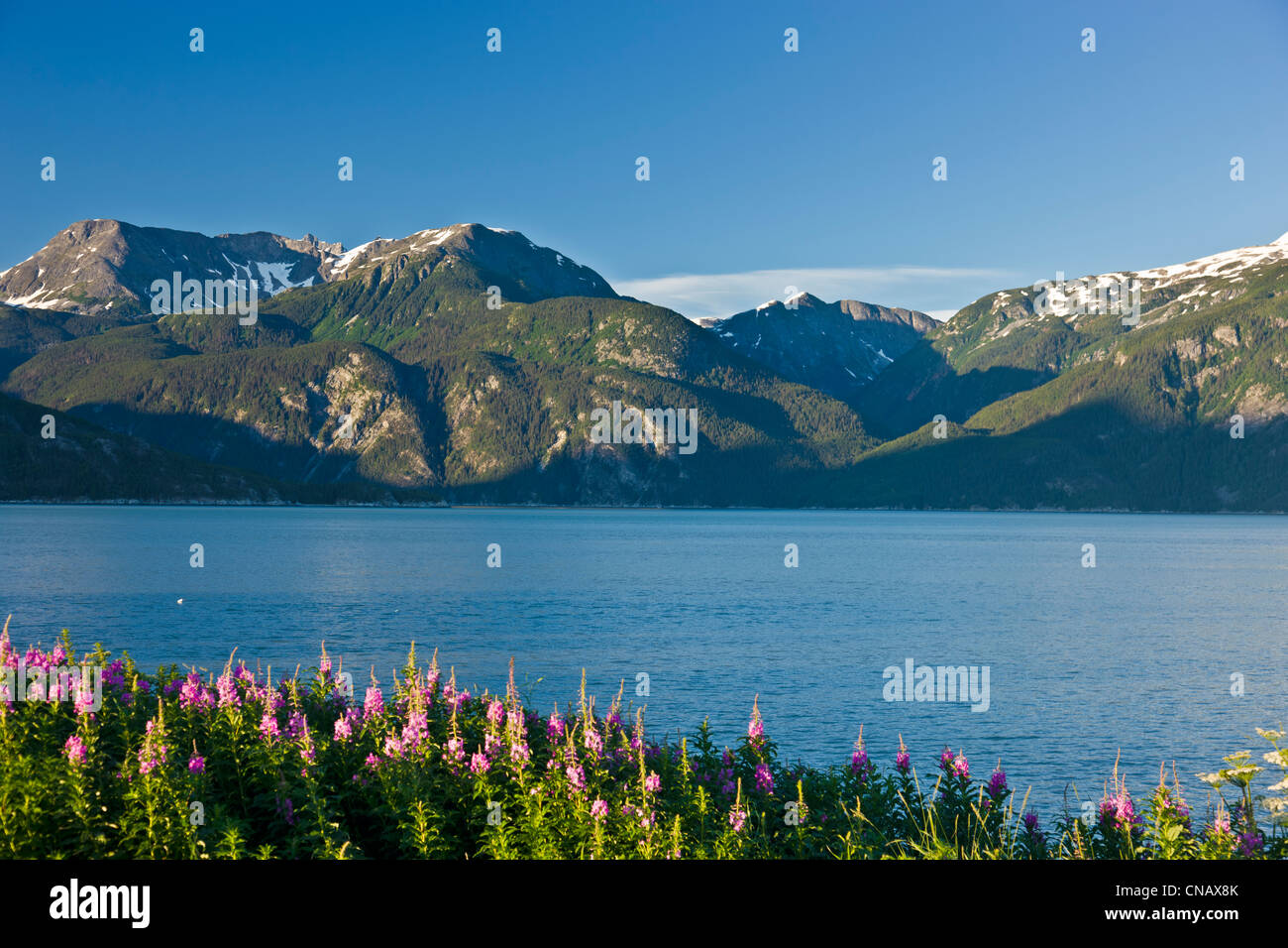 Coastal scenic summer summer hi-res stock photography and images - Alamy