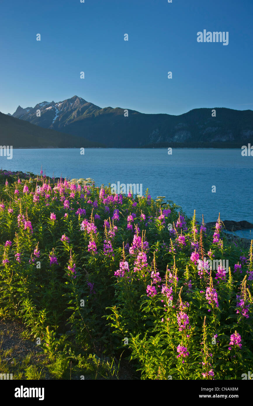View across Lutak Inlet towards the Coastal Mountain Range and Mt ...