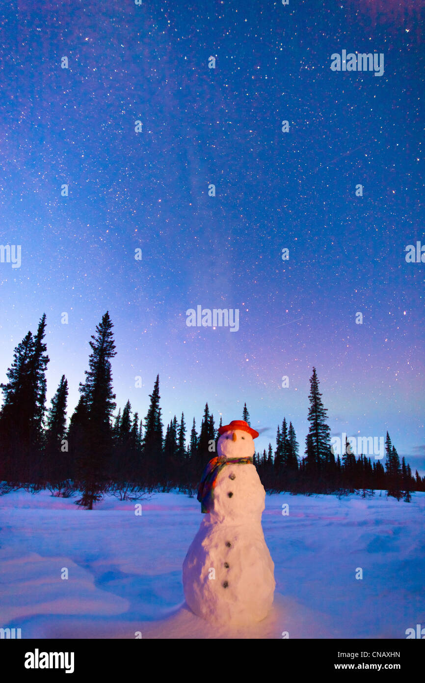 COMPOSITE,Snowman standing in a field at twilight, Winter, Broad Pass ...