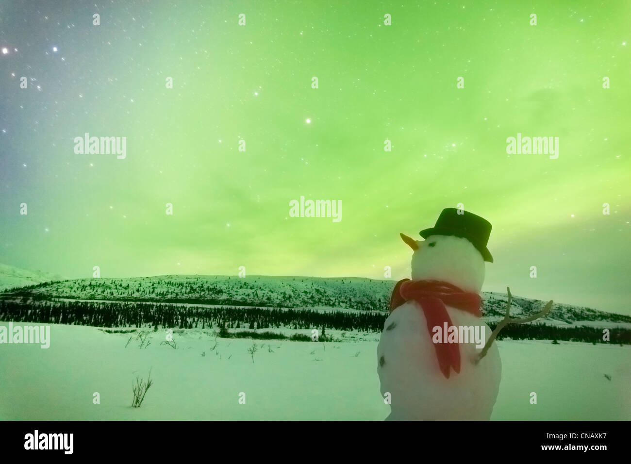 Digitally Altered, Snowman watching Northern Lights, Winter, Eureka ...
