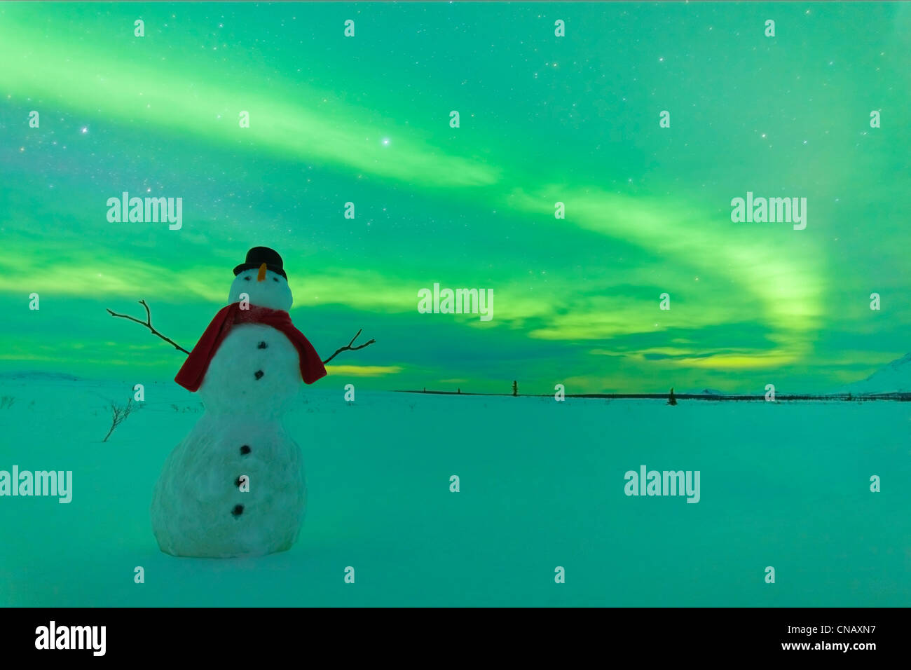 Digitally Altered,Snowman watching Northern Lights, Winter, Eureka ...