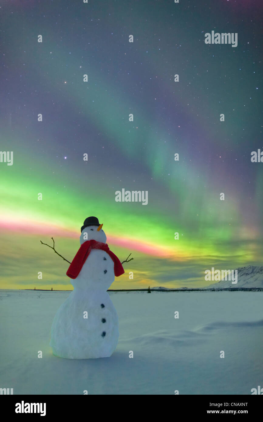 Digitally Altered, Snowman watching Northern Lights, Winter, Eureka ...