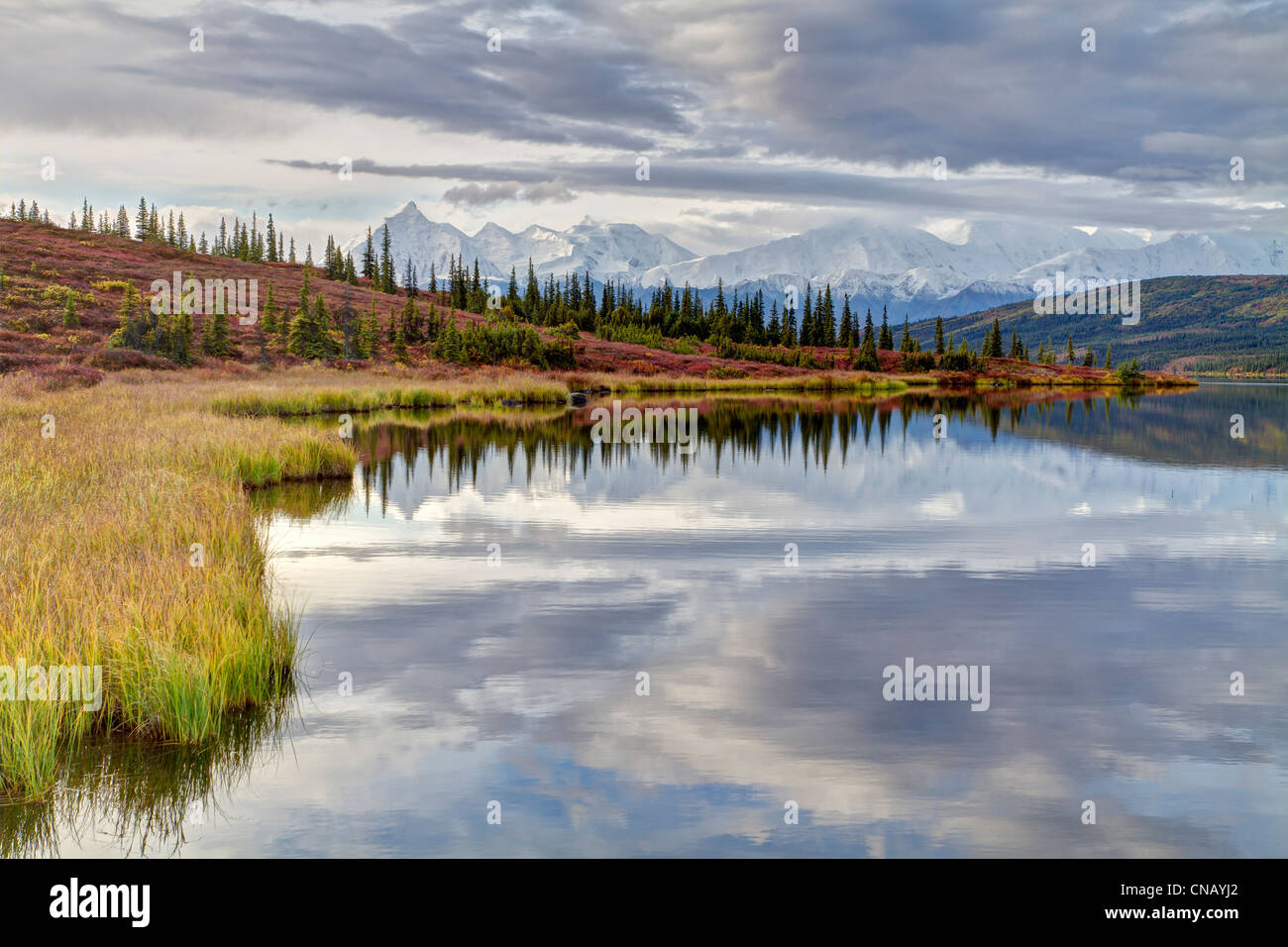 Scenic of Wonder Lake with snow covered Mt. Brooks and the Alaska Range ...