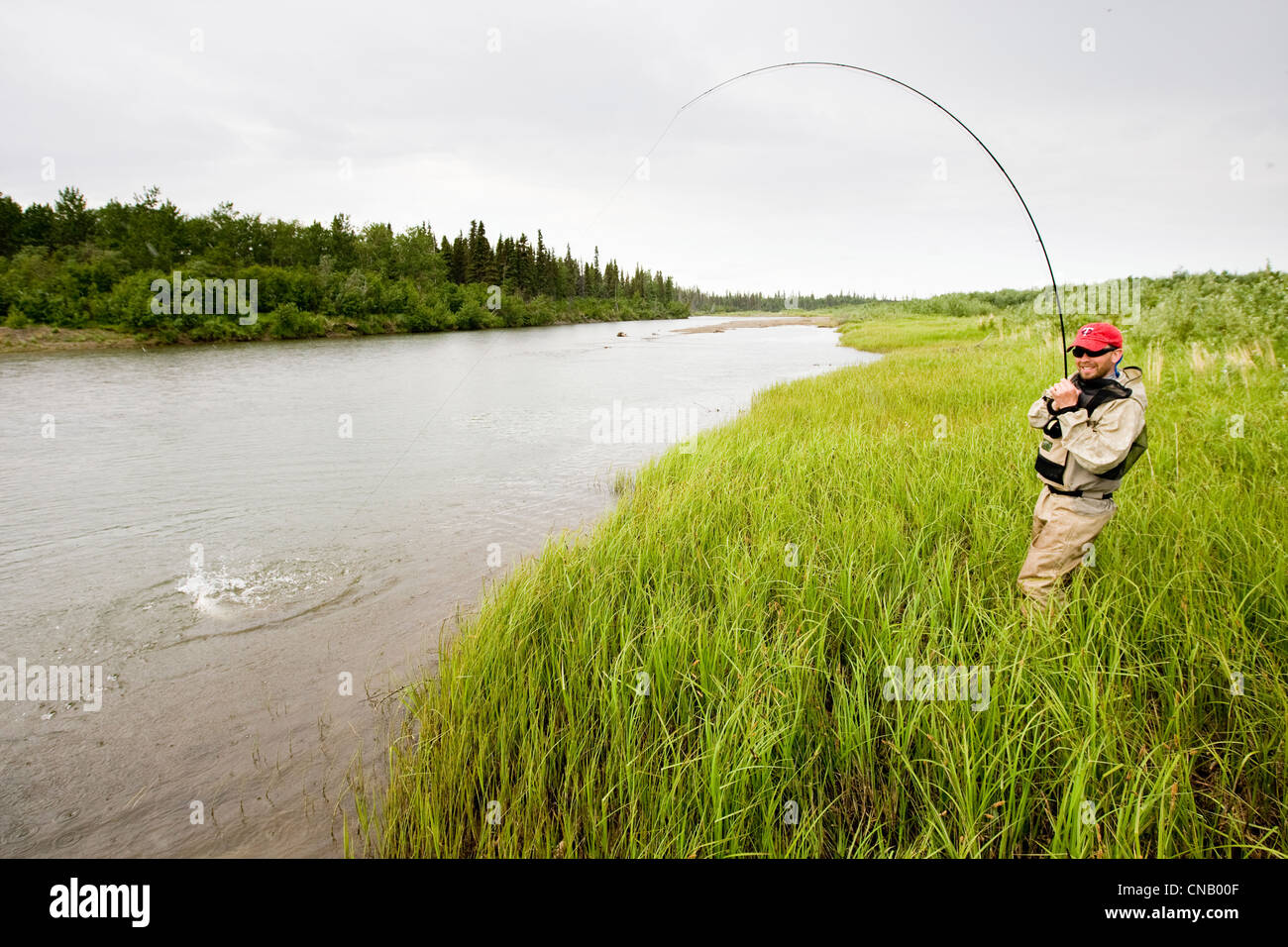Fly fisherman fights a sockeye salmon on the Mulchatna River in the ...