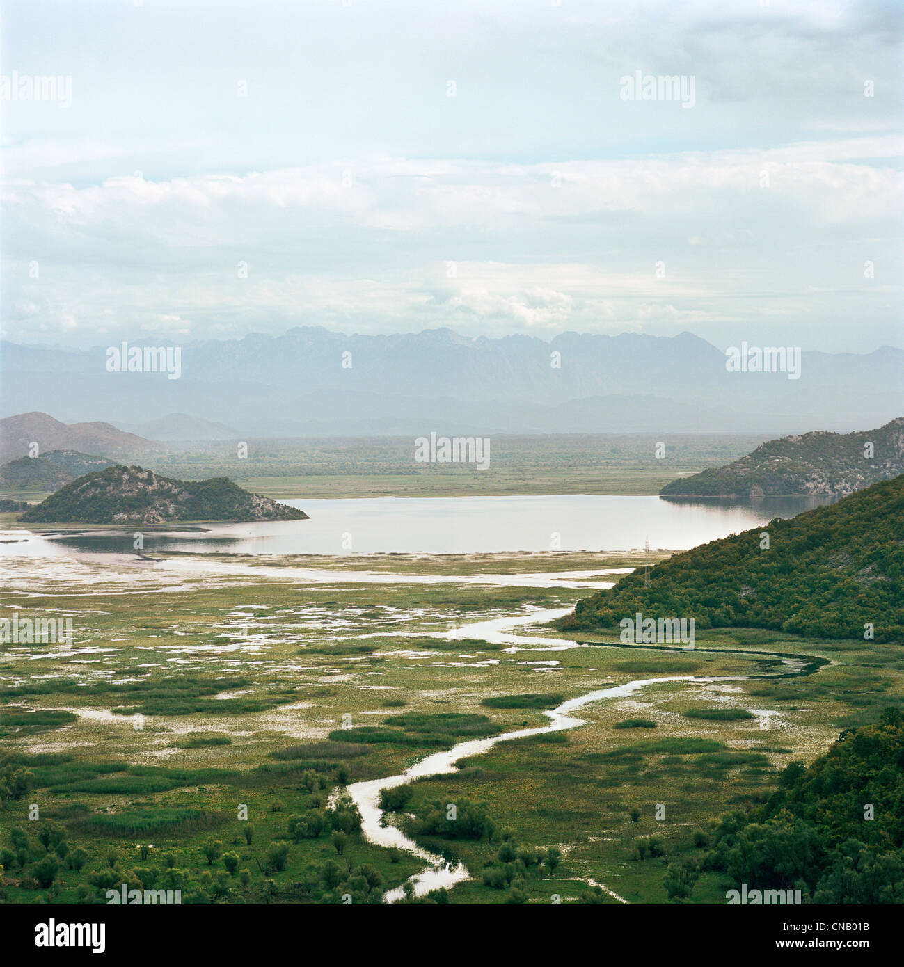 Aerial view of marshy rural landscape Stock Photo - Alamy