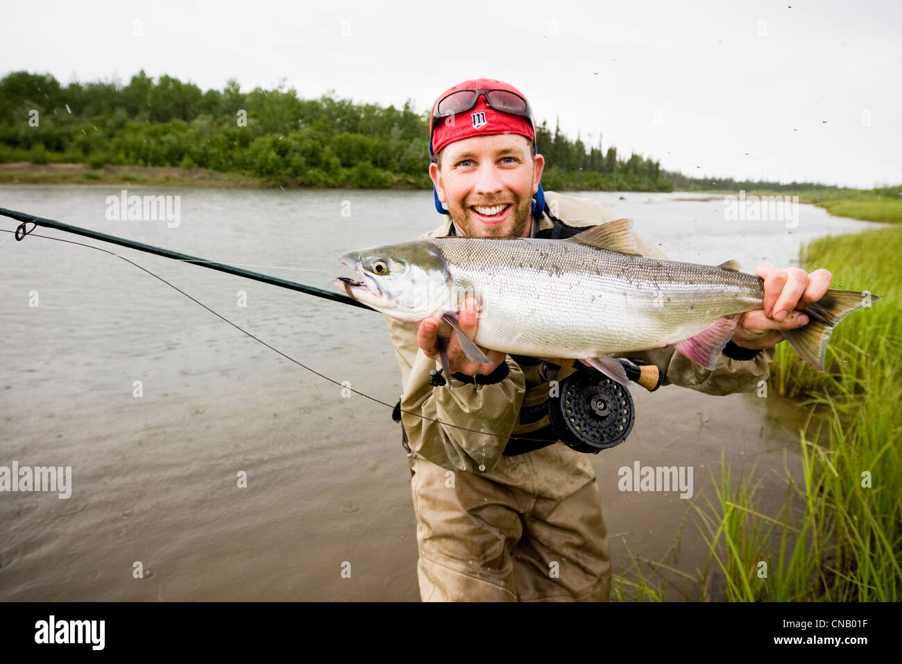 Fly fisherman holds up a Sockeye salmon on the Mulchatna River in the ...