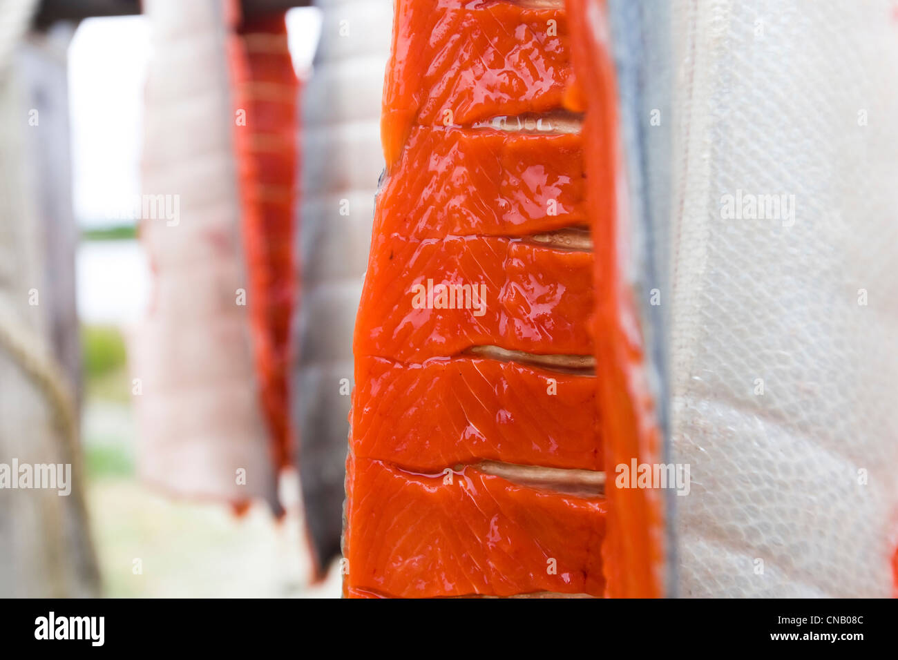 Subsistance caught Bristol Bay Sockeye salmon drying on a rack, Iliamna ...