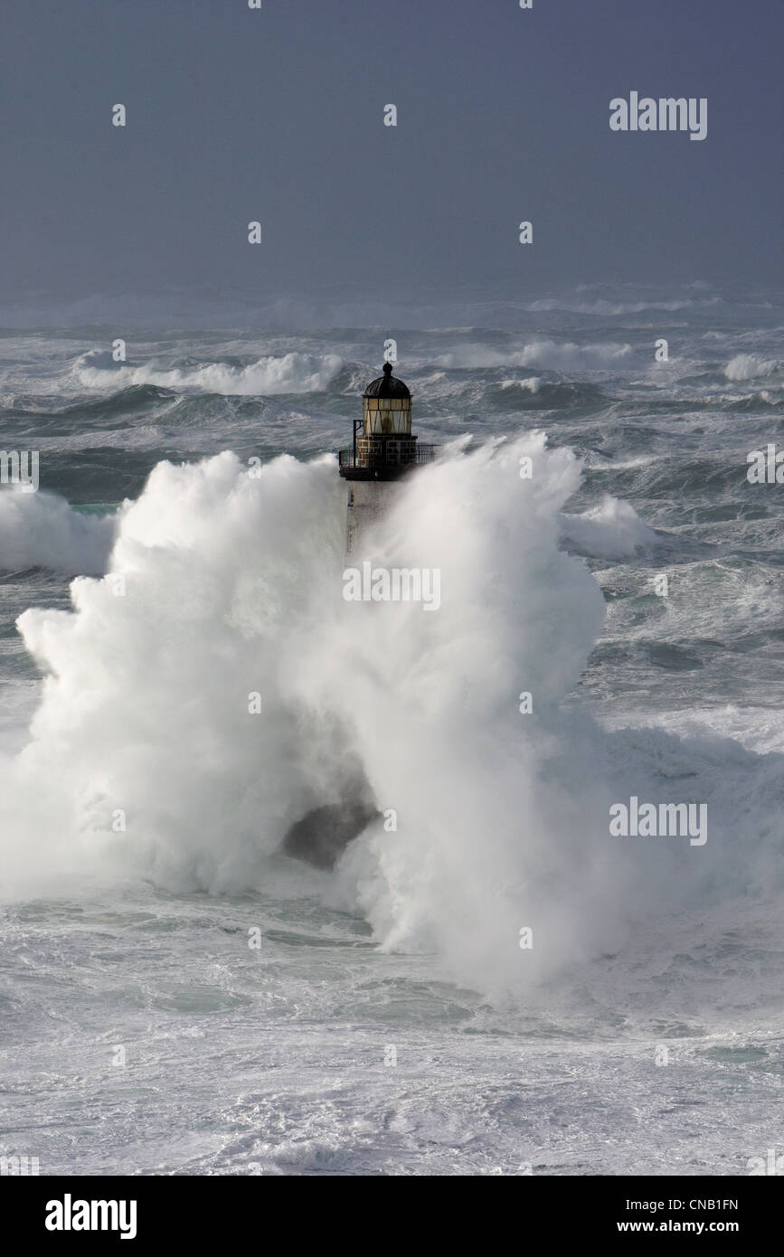 France, Finistere, Iroise Sea, Iles du Ponant, Parc Naturel Regional d ...