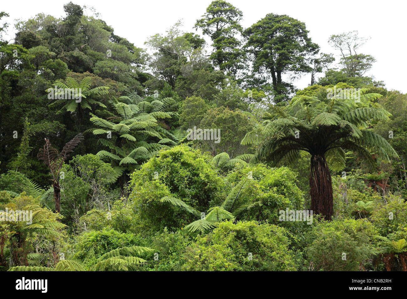 Greymouth new zealand hi-res stock photography and images - Alamy