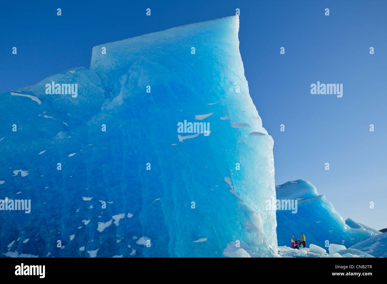 A wall of blue ice towers above hikers as they explore a huge iceberg ...