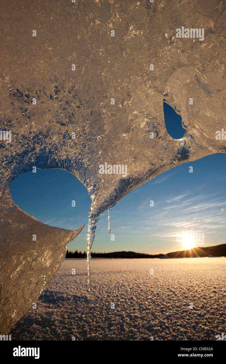 Close up of icebergs formations frozen in Mendenhall Lake with sun ...