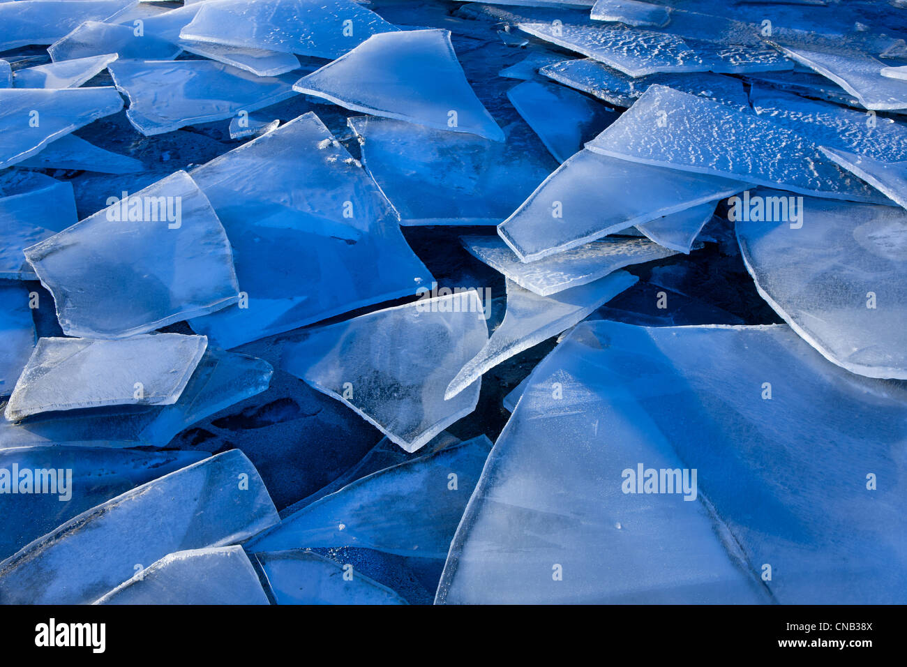 Fractured surface ice drifted to the shoreline of Mendenhall Lake ...