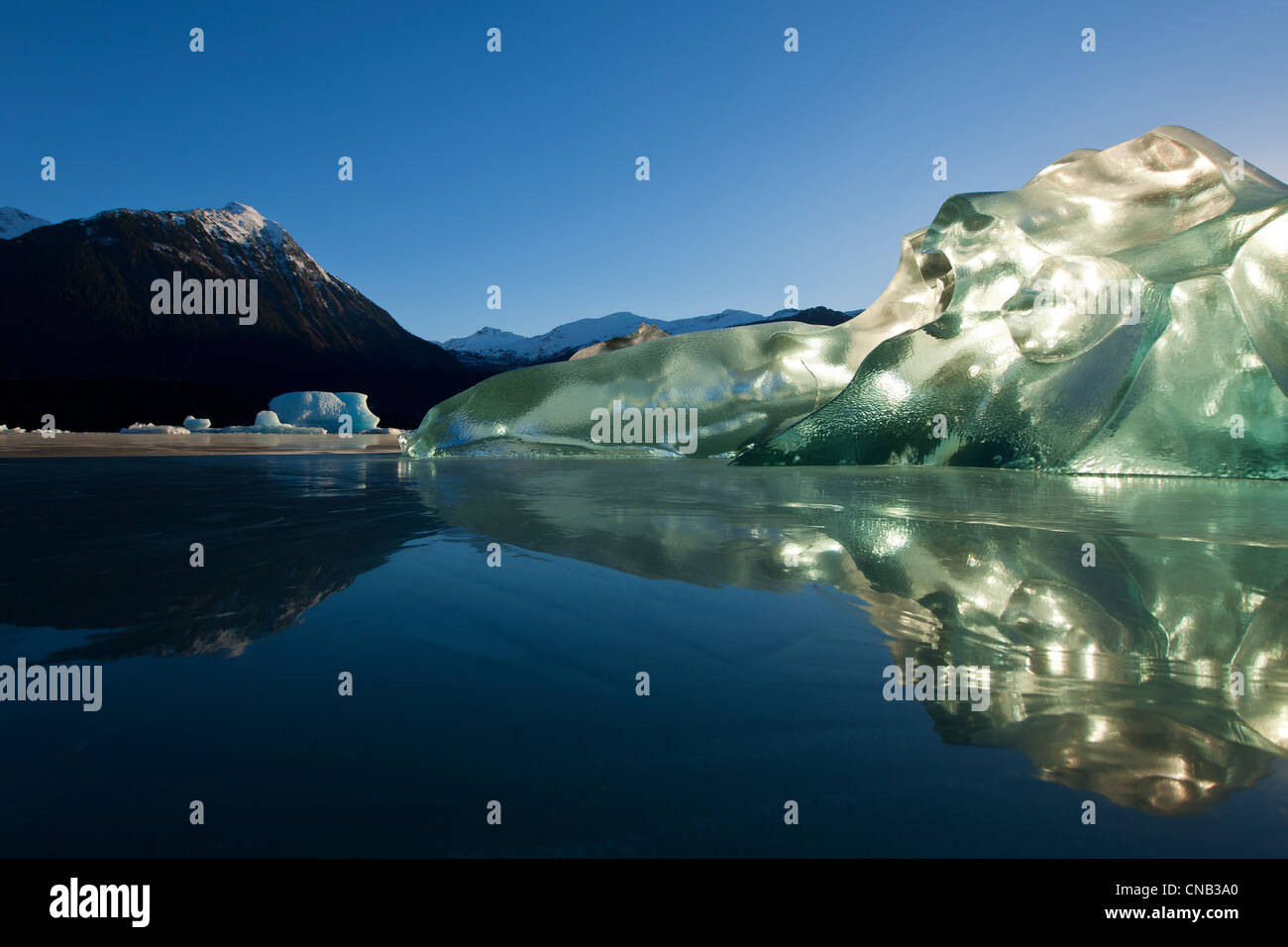 An iceberg, trapped in the frozen waters of Mendenhall Lake glowing and ...