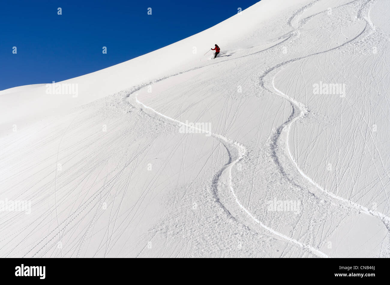 Lonely tracks in powder hi-res stock photography and images - Alamy