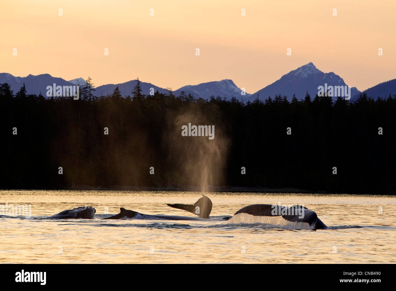 Stephens passage hi-res stock photography and images - Alamy
