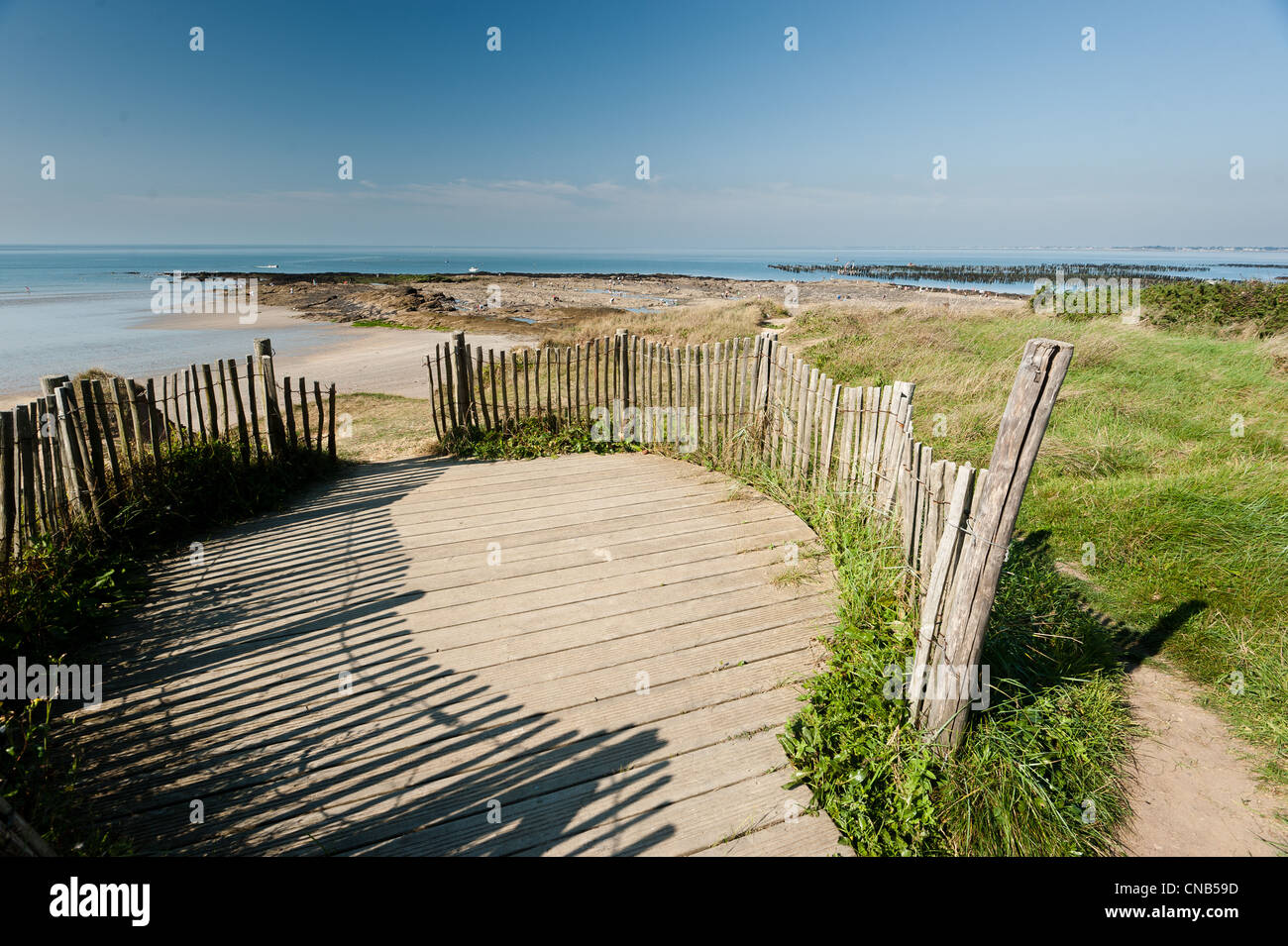 France, Morbihan, Penestin sur Mer, pointe of Cofreneau Stock Photo - Alamy