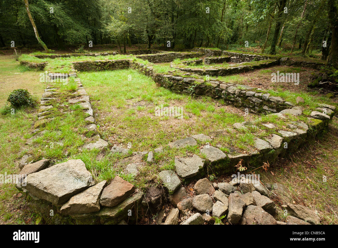 France, Morbihan, Berne, medieval hamlet in Pontcallec Forest Stock ...