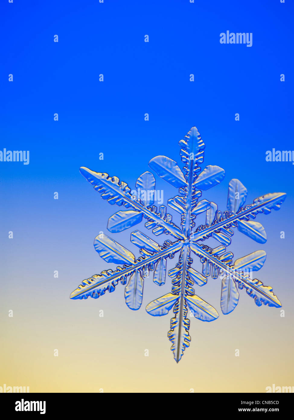 Snowflake microscope hi-res stock photography and images - Alamy