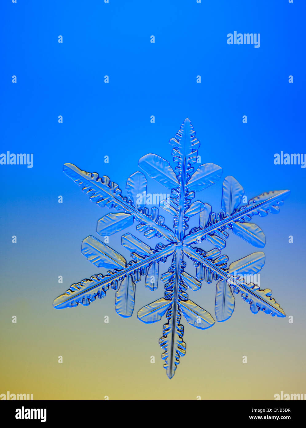 Snowflake microscope hi-res stock photography and images - Alamy