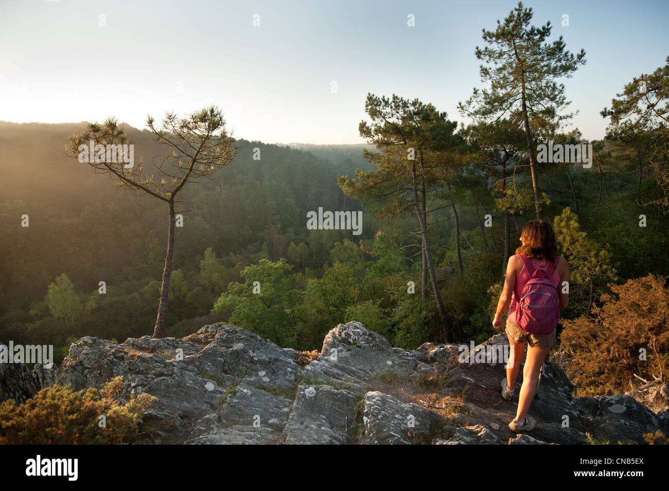 Saint dolay france hi-res stock photography and images - Alamy