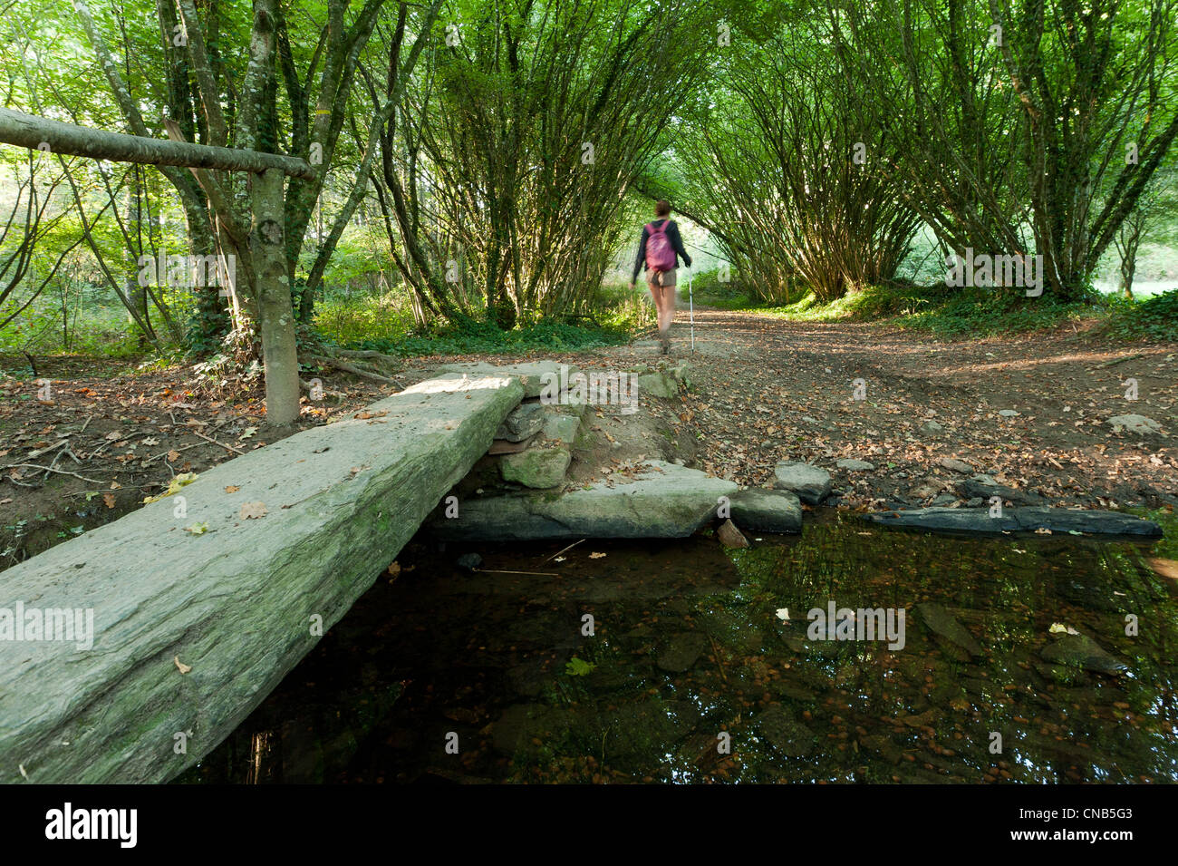 Saint dolay france hi-res stock photography and images - Alamy