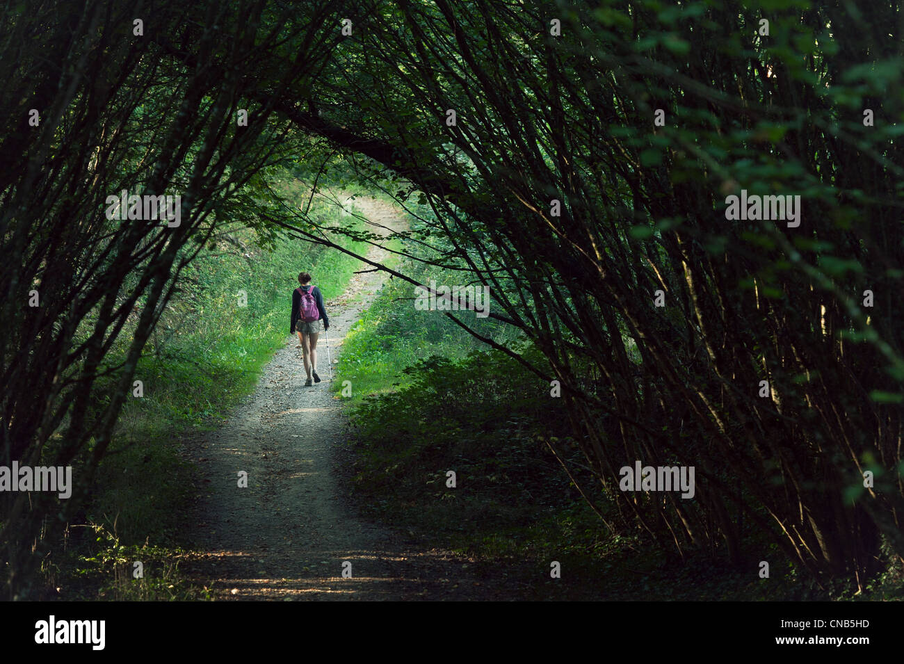 Saint dolay france hi-res stock photography and images - Alamy