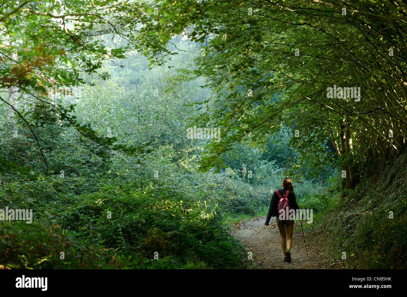 Saint dolay france hi-res stock photography and images - Alamy