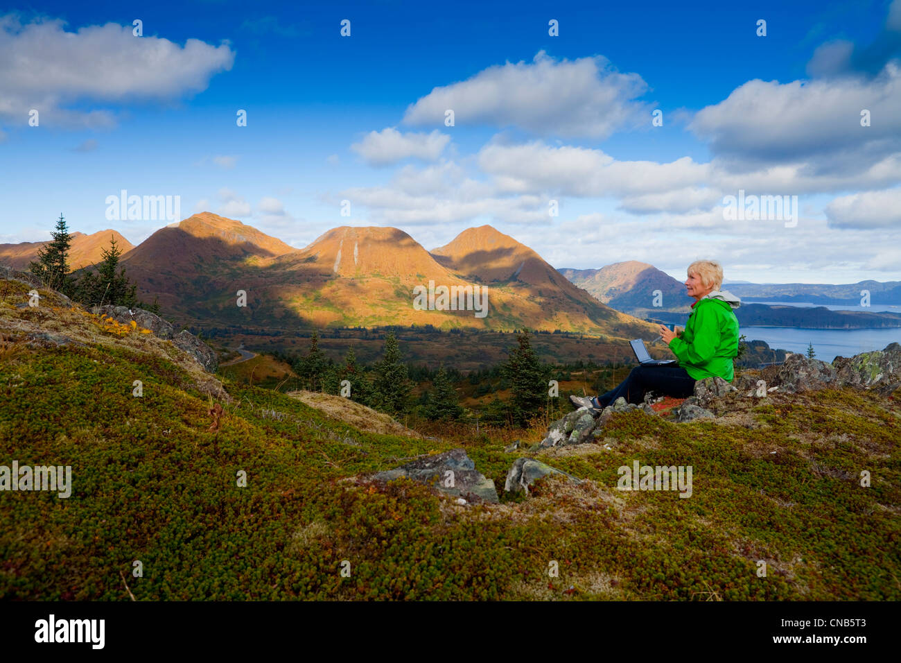 Mature woman types on laptop computer while sitting on Pillar Mountain ...