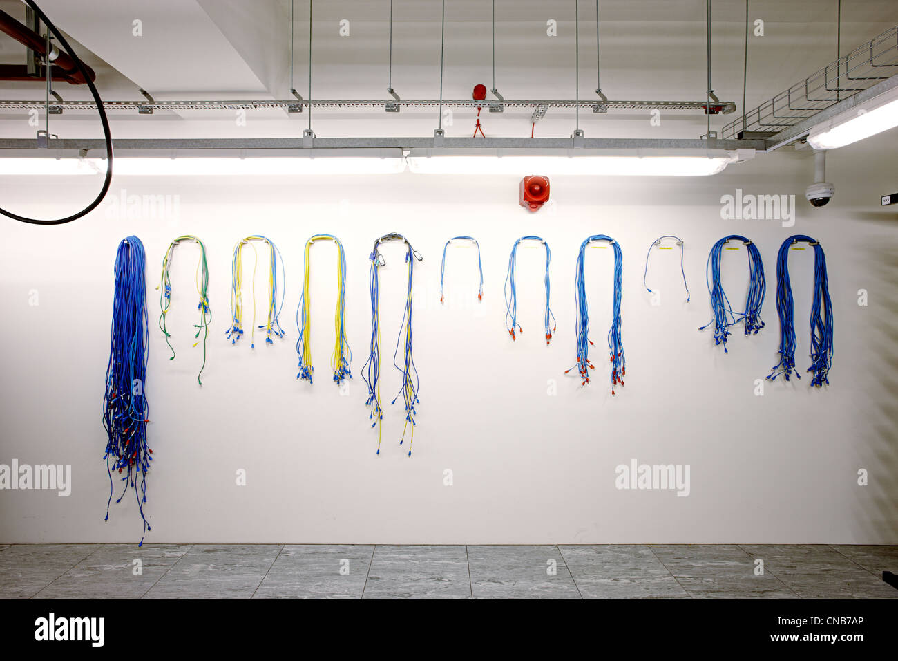 spare network cables different lengths hung wall Stock Photo - Alamy