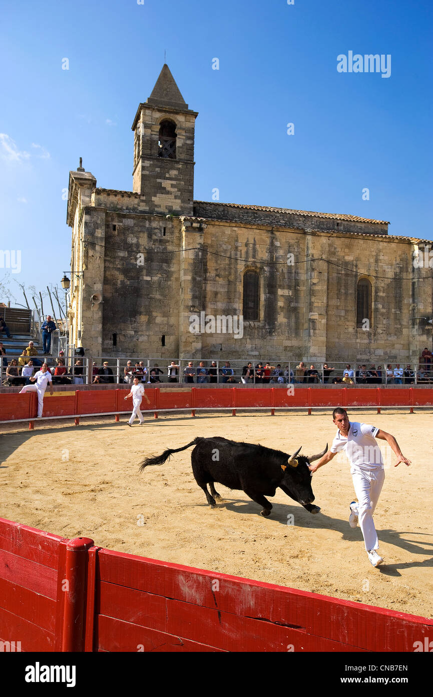 Provence france bullring hi-res stock photography and images - Alamy
