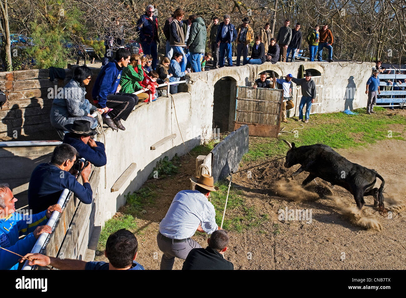 Castrated hi-res stock photography and images - Alamy